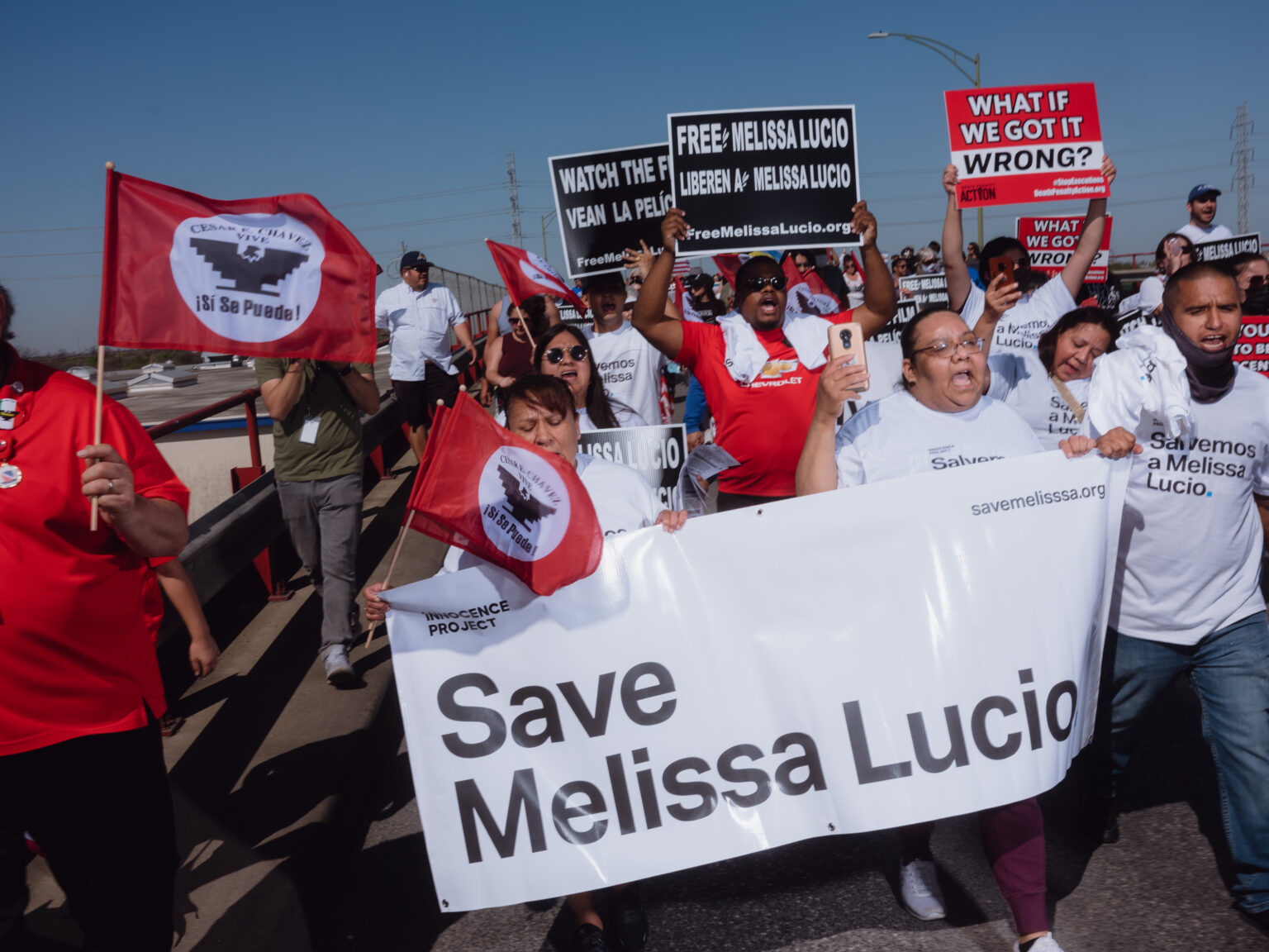 Melissa Lucio Petitions Texas Court of Criminal Appeals for Stay of ...